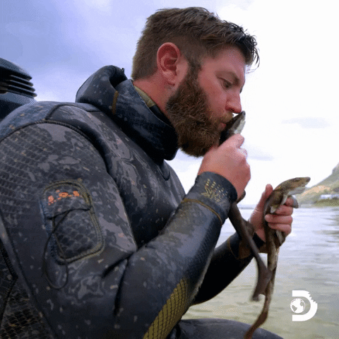 Alien Sharks: Strange New Worlds GIFs on GIPHY - Be Animated