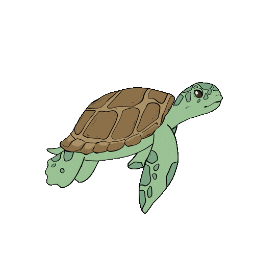 Animated Sea Turtle Gif