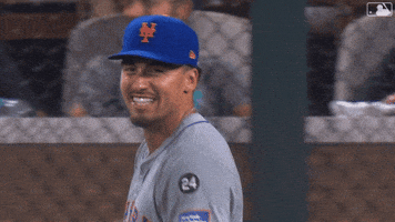 New York Mets GIFs on GIPHY - Be Animated