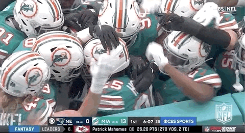 Miami Dolphins GIFs - Find & Share on GIPHY
