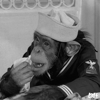 Black And White Monkey GIF by Laff - Find & Share on GIPHY