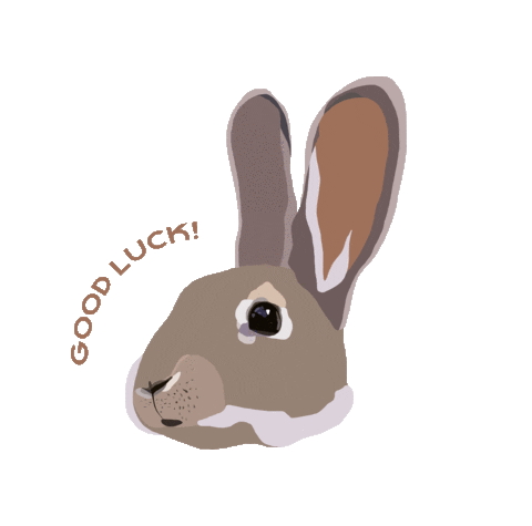 Bunny Good Luck Sticker for iOS & Android | GIPHY