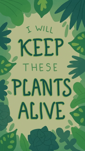 Climate Change Life GIF - Find & Share on GIPHY