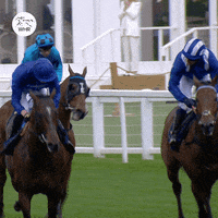 Funny Horse Racing Gif