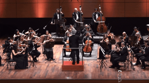 Classical Music Istanbul GIF by BORUSAN SANAT - Find & Share on GIPHY