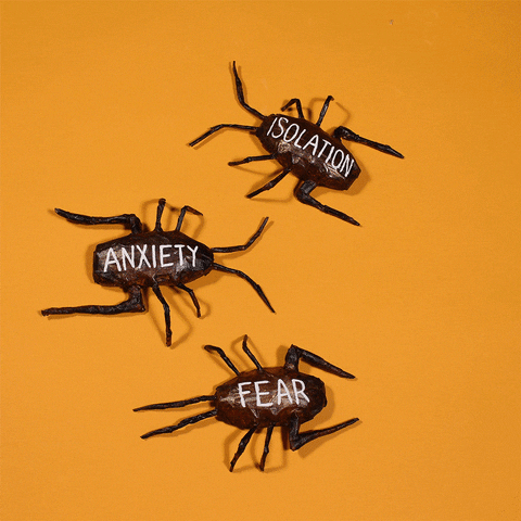 Fear-of-cockroaches GIFs - Get the best GIF on GIPHY
