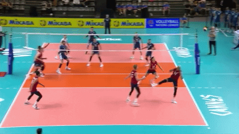 GIF by Volleyball World - Find & Share on GIPHY