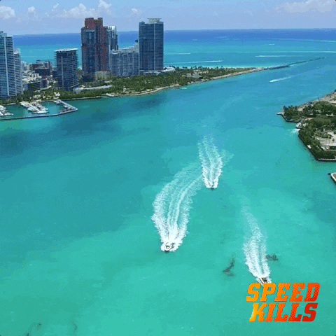 John Travolta Miami GIF by Signature Entertainment - Find & Share on GIPHY