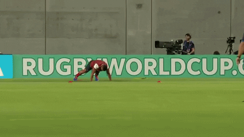 World Rugby Sport GIF by Rugby World Cup - Find & Share on GIPHY