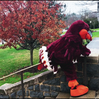 Hokies GIF by Virginia Tech - Find & Share on GIPHY