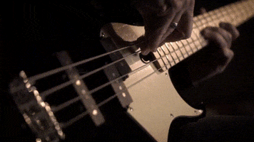 The-bass-player GIFs - Find & Share on GIPHY