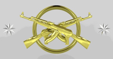 Csgo Rank GIFs - Get the best GIF on GIPHY