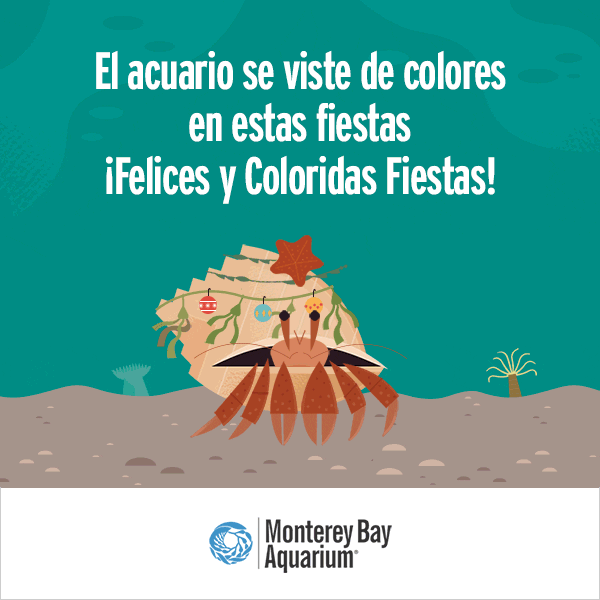 Tarjetas De Fiestas GIFs - Get the best GIF on GIPHY