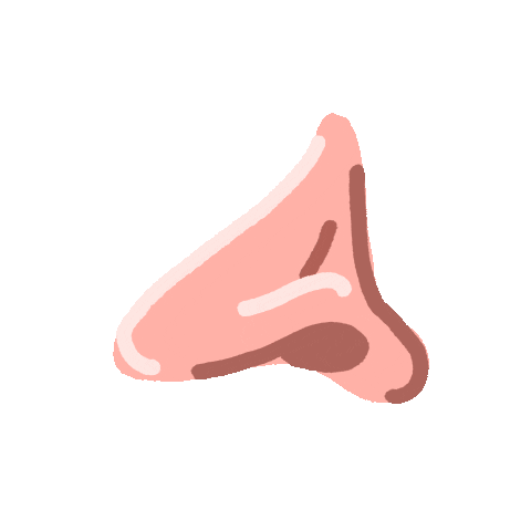 Nose Sniffing Sticker for iOS & Android | GIPHY