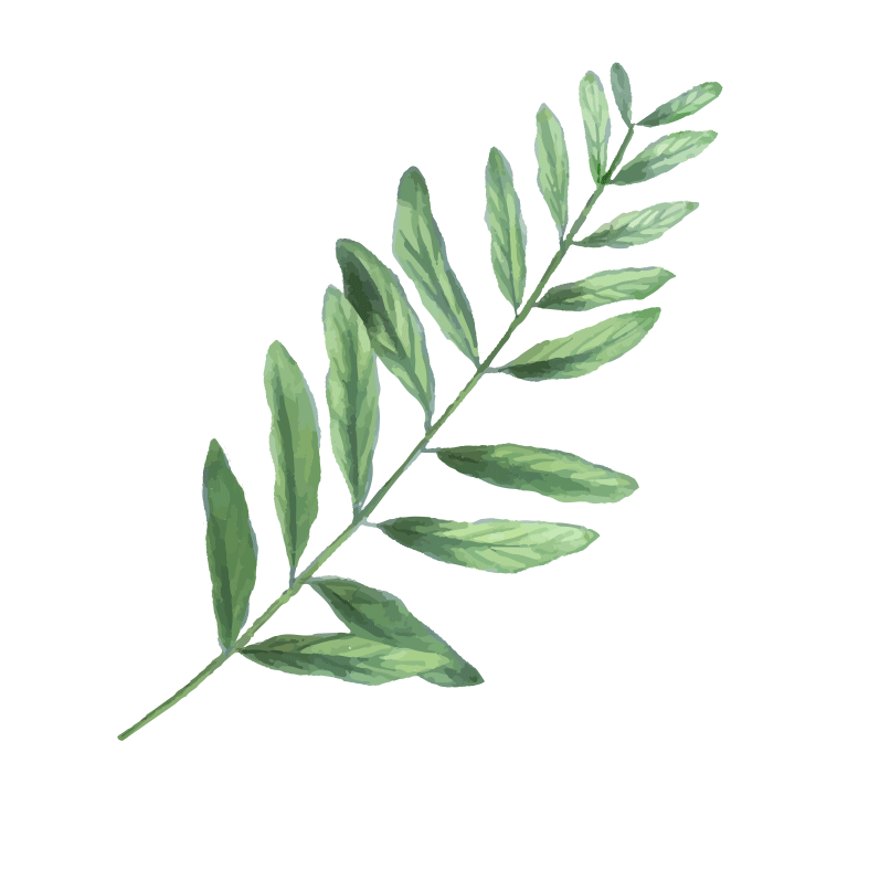 Cartoon Sticker for iOS & Android | GIPHY