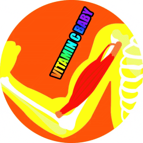 Ctrl C Ctrl V GIFs - Find & Share on GIPHY