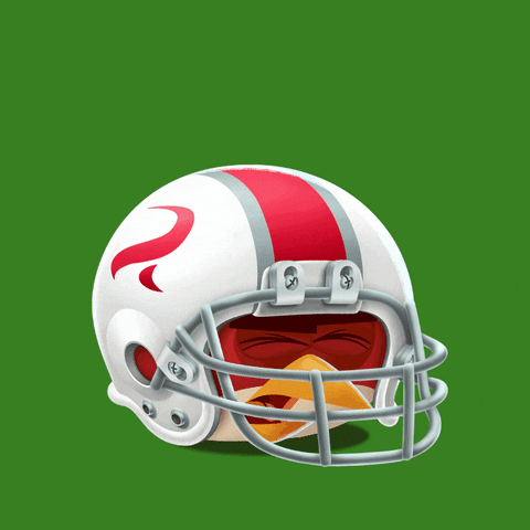 Superbowl Bird GIFs - Get the best GIF on GIPHY