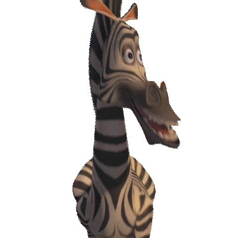 Happy Cartoon Zebra