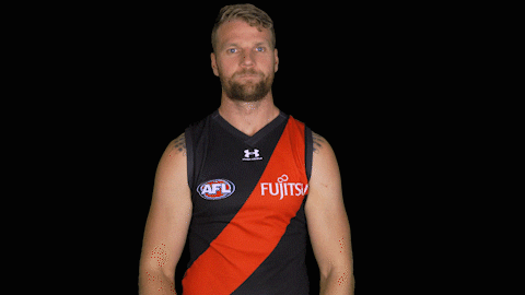Essendon GIFs - Get the best GIF on GIPHY