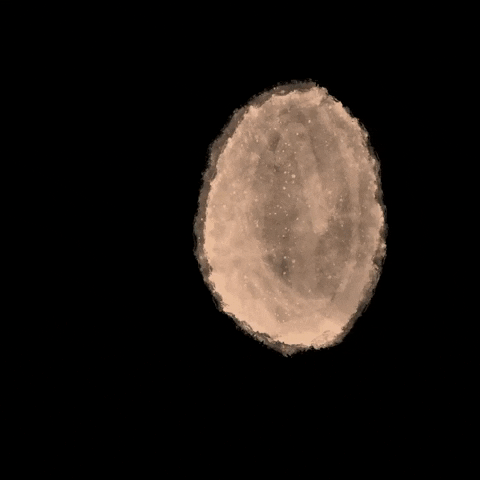 Egg-beat GIFs - Get the best GIF on GIPHY