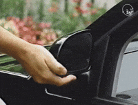 Sideview GIFs - Get the best GIF on GIPHY