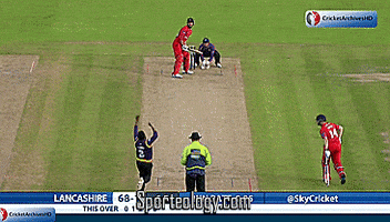 Cricket GIFs - Find & Share on GIPHY