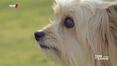 Lecker GIFs - Get the best GIF on GIPHY