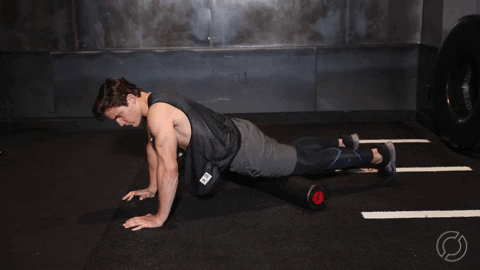 Fitness Workout GIF by Equinox - Find & Share on GIPHY