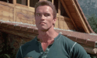 Commando Arnold Gif