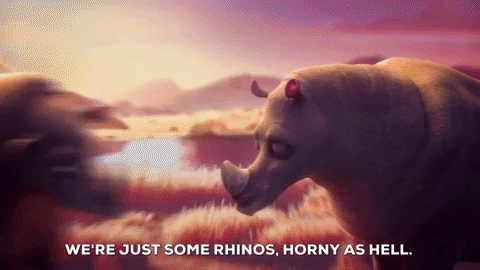 Rhinocerous GIFs - Get the best GIF on GIPHY
