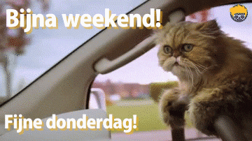 Bijna-weekend GIFs - Get the best GIF on GIPHY