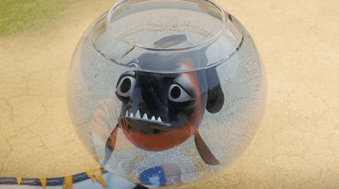 Sad Animal GIFs - Get the best GIF on GIPHY