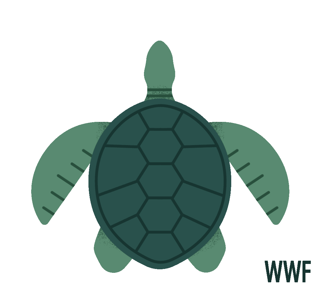 Sea Turtle Swimming Sticker by WWF_UK for iOS & Android | GIPHY