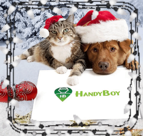 Handboy GIFs - Get the best GIF on GIPHY