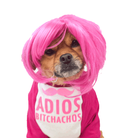 Dog Sticker for iOS & Android | GIPHY