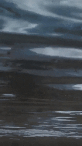 Loop Water GIF by Chris Cubellis - Find & Share on GIPHY