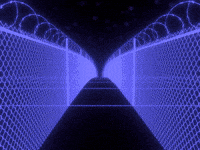 The-wire GIFs - Get the best GIF on GIPHY