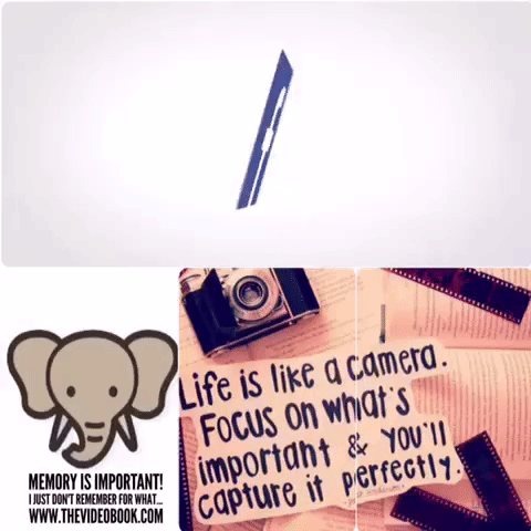 Camera-focus GIFs - Get the best GIF on GIPHY