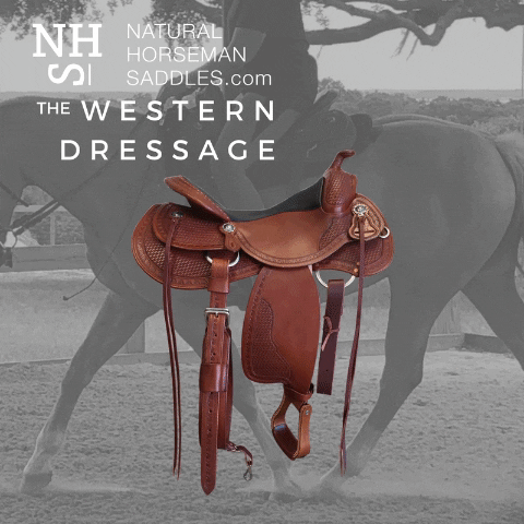 Western Saddle GIFs - Get the best GIF on GIPHY