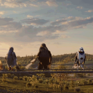 Electric Shock Birds GIF by EnBW - Find & Share on GIPHY