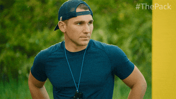 The Pack GIFs on GIPHY - Be Animated