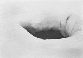 Auckland Museum Tāmaki Paenga Hira GIFs on GIPHY - Be Animated