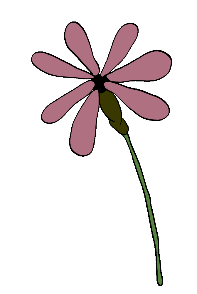 Flower Hollis Sticker by Jamie Wolfe for iOS & Android | GIPHY