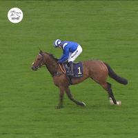 Horse Racing Gif