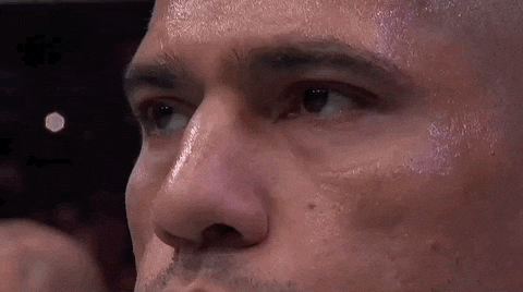 UFC GIFs on GIPHY - Be Animated