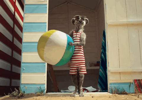 Sunsoutgunsout GIFs - Get the best GIF on GIPHY