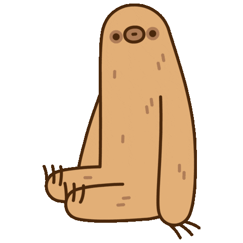 Sloth Cat Gif No Tears