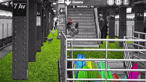 Interactive-art GIFs - Get the best GIF on GIPHY