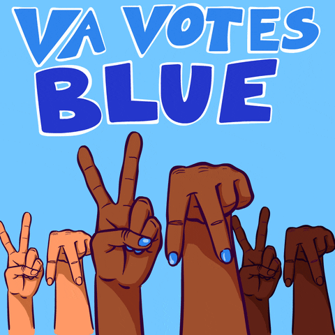 Va-votes-blue GIFs - Get the best GIF on GIPHY