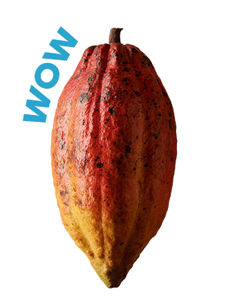Cocoa Fruit GIFs - Get the best GIF on GIPHY